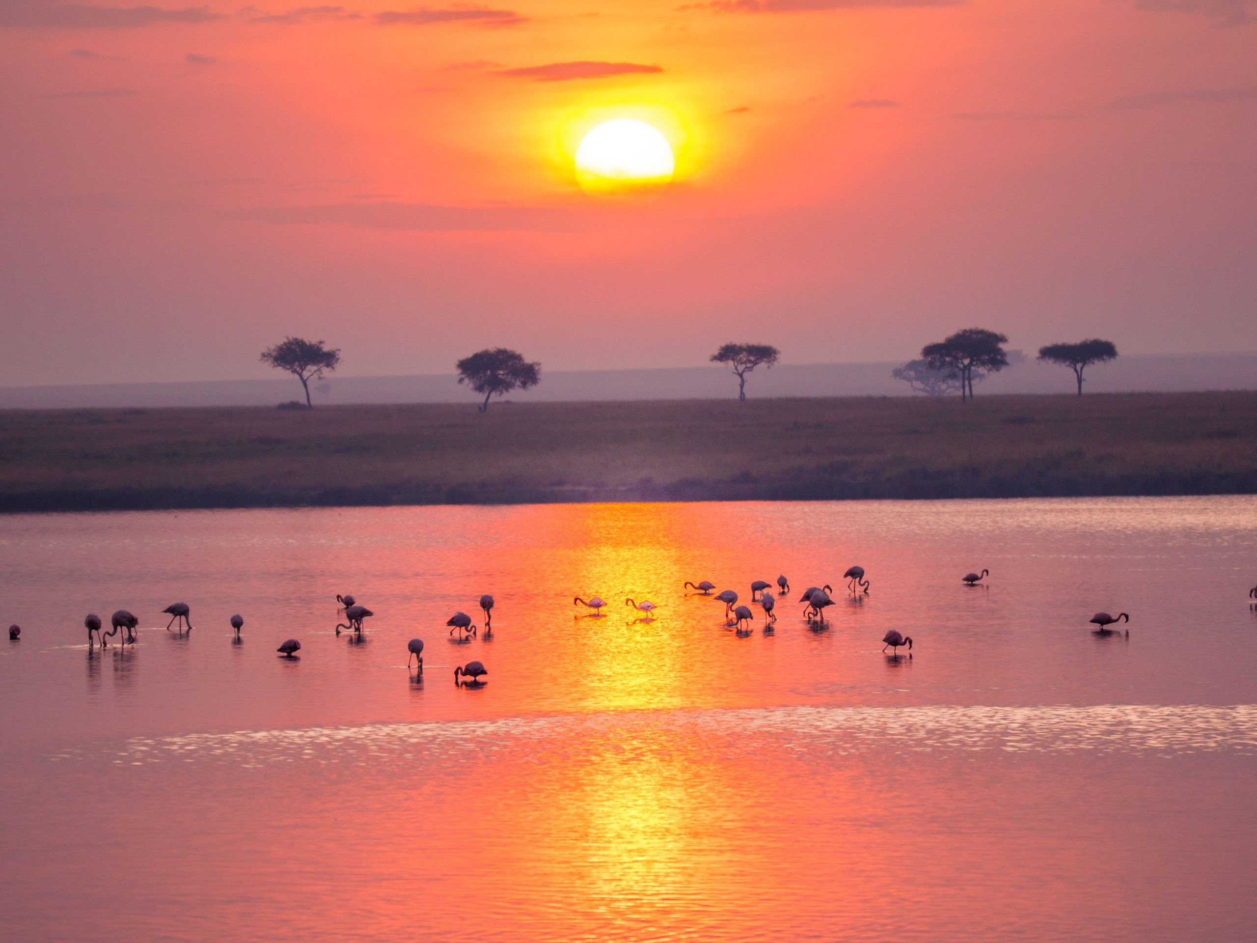 10 BEST NON-TOURISTY THINGS TO DO IN EAST AFRICA - Air Charter and ...