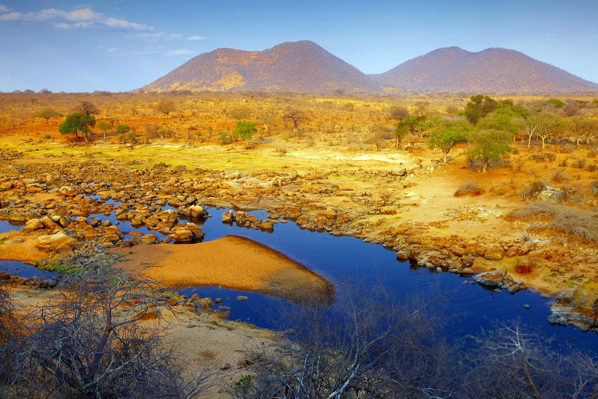 10 Best Places to Visit in Tanzania for Wildlife Encounters - Air ...